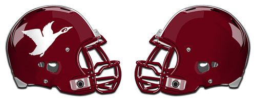 Baytown Lee Ganders | Dave Campbell's Texas Football