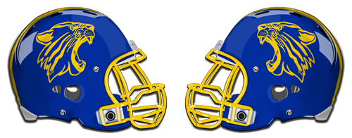 Big Sandy Wildcats | Dave Campbell's Texas Football