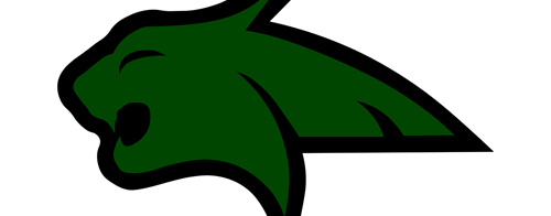 Bluff Dale Bobcats | Dave Campbell's Texas Football