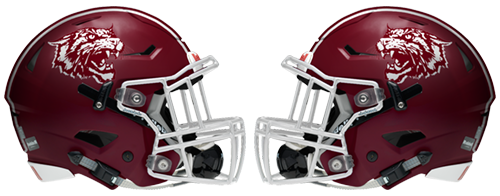 Littlefield Wildcats | Dave Campbell's Texas Football