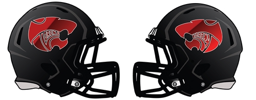 Lorena Leopards | Dave Campbell's Texas Football